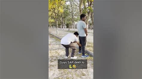Guys Sap Dekh Lo 🐍🤣shorts Youtube