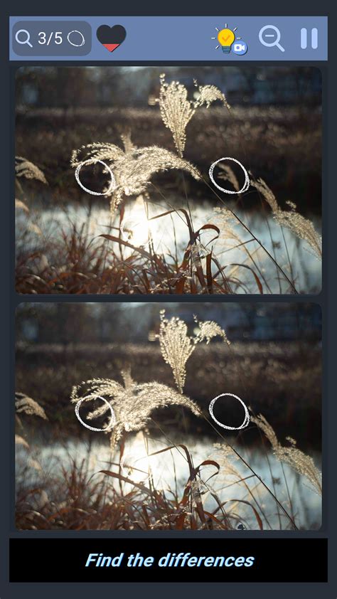 Differences Find Them For Iphone Download