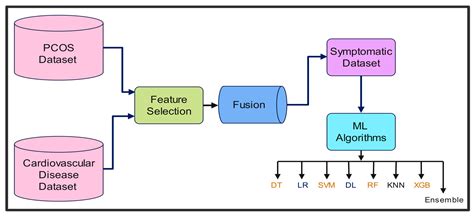 Optimized Machine Learning For The Early Detection Of Polycystic Ovary Syndrome In Women
