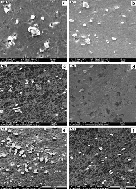SEM Micrographs Of A BM B SS C MS D FS E SF And F MF Download Scientific