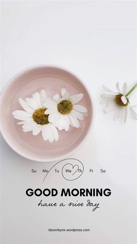Good Morning Aesthetic Story Good Morning Greeting Cards Good