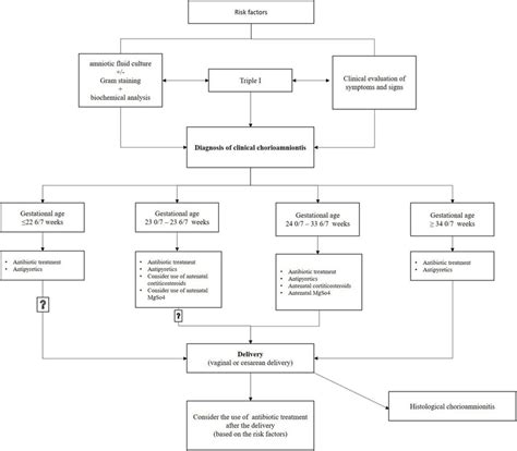 Management Of Clinical Chorioamnionitis Download Scientific Diagram