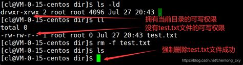 Shell的运行原理以及linux当中的权限问题shell 执行robot会涉及权限吗 Csdn博客