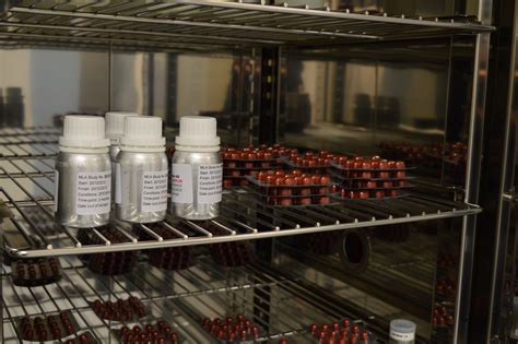 Gmp Stability Storage And Testing Mylnefield Lipid Analysis Gmp Stability Storage And Testing Mylnefield Lipid Analysis