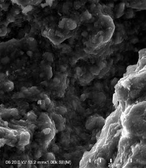 Sem Image Of Phyllosilicate Group Minerals Separated From Loose Terra