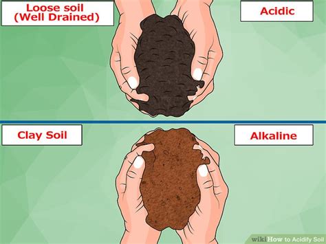 How To Acidify Soil 14 Steps With Pictures WikiHow