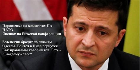 ﻿Порошенко на комитетах ПА НАТО Яценюк на Рижской конференции Зеленский бродит по пляжам Одессы