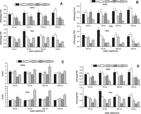 Chlorophyll Content In Vallisneria Natans Chlorophyll Concentrations