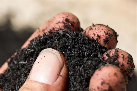 Селяни матимуть платити податки за землю якою буде сума за пай