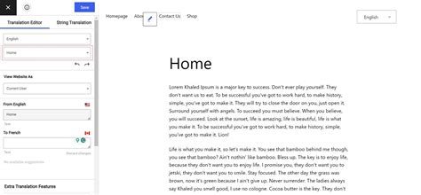 How To Translate Wordpress Websites In 2023 Beginners Guide