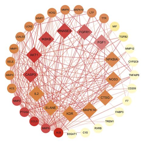 Protein Protein Interaction Ppi Network A Ppi Network Of Protein