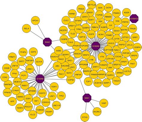 Ppis Network For Identified Common Degs That Refers To Sars Cov 2