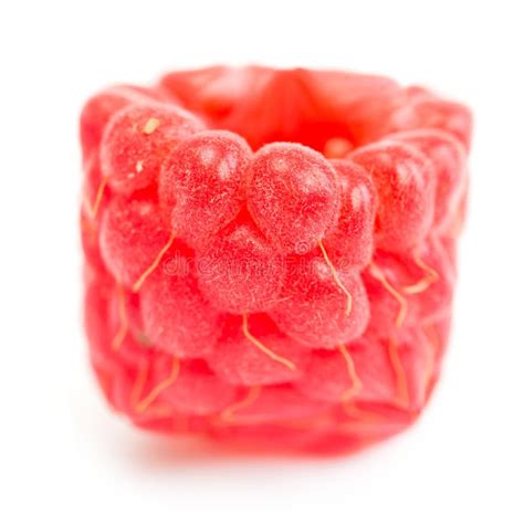 Square Cube Raspberry Stock Image Image Of Genetic 45231007