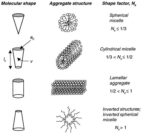 1 Predicted Aggregate Structure As A Function Of The Shape Factor
