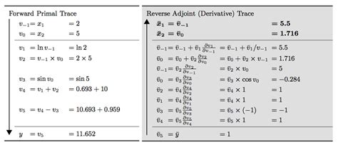 automatic differentiation