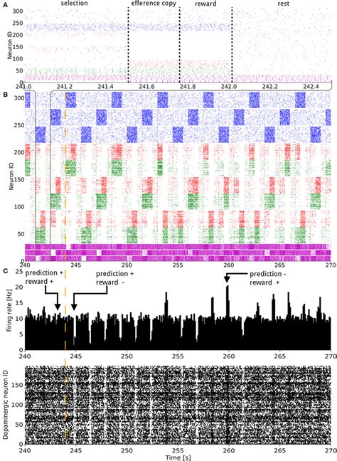 Raster Plot Of The Model Consisting Of 3 States And 3 Actions Download Scientific Diagram