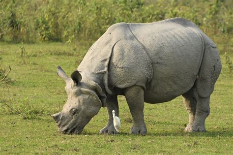 Gallery Mihir Bhatt Vsco