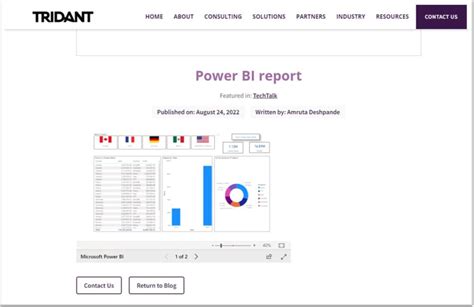 How To Create Effective Public Facing Reports In Microsoft Power BI Tridant