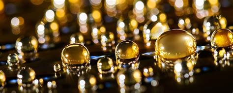 Oil Extraction From Soybean What You Need To Know