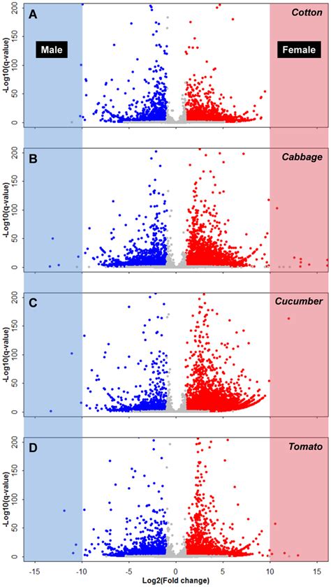 The X Axis Represents The Relative Expression Of Transcript For Female