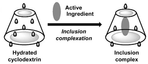 4 Schematic Representation Of The Inclusion Complexation Process The Download Scientific
