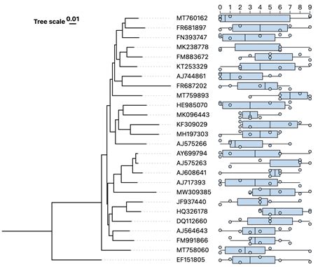 Base Box Plot GitBook