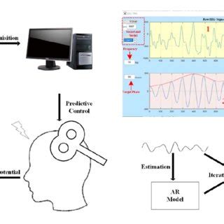 PDF Closed Loop TMS EEG Reactivity With Occipital Alpha Phase Synchronized