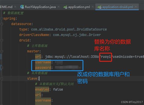 Ruoyi若伊项目（vue前后端分离）下载搭建若伊平台 Csdn博客
