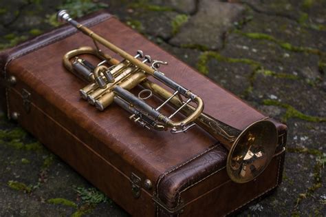 Popular Types Of Wind Instruments That Might Interest You