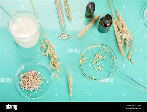 Analyzing Agricultural Wheat Grains In Laboratory Wheat Genetically