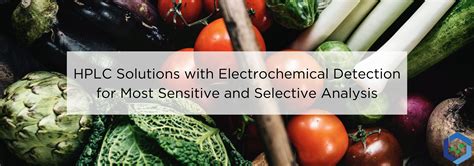Hplc Solutions With Electrochemical Detection For Most Sensitive And Selective Analysis Gmi