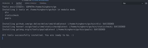 Install Golang In Your Home Directory And Configure Vscode Puget Systems