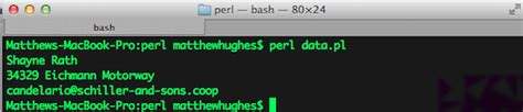 How To Generate Dummy Data In Ruby Perl And Python