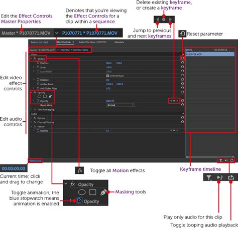 Effect Controls Panel Adobe Premiere Pro Book