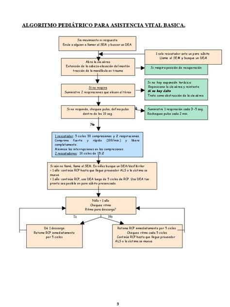 Algoritmo Rcp Reanimación Cardiopulmonar Fisiología