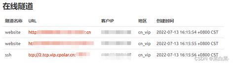 如何使用cploar进行内网穿透cpolar内网穿透教程 Csdn博客