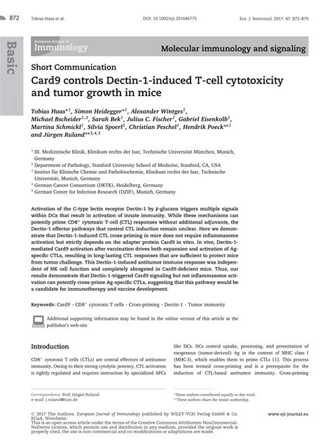 Pdf Card9 Controls Dectin 1 Induced T Cell Cytotoxicity And Tumor Growth In Mice