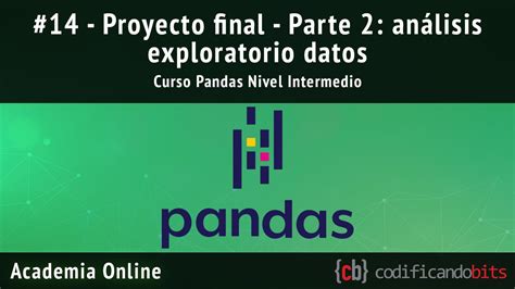 curso pandas nivel intermedio 14 proyecto final análisis