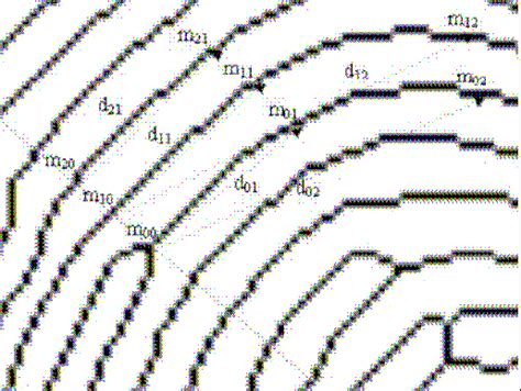 Figure 1 From Delaunay Triangulation Algorithm For Fingerprint Matching