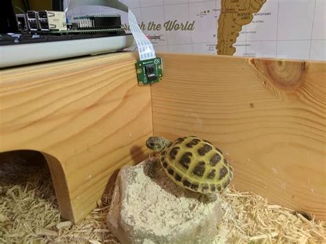 5 Raspberry Pi Projects You Can Do At Home Boardor