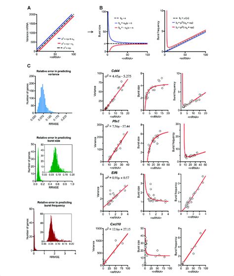 Mean Variance Relationships Constrain Transcriptional Bursting Download Scientific Diagram