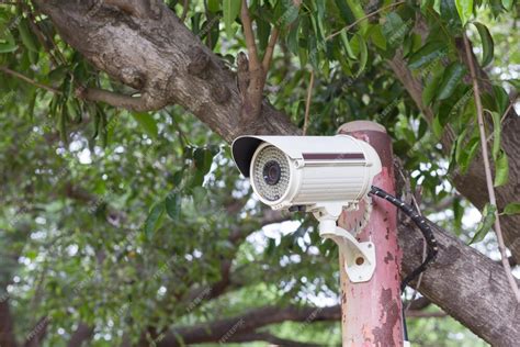 Premium Photo Cctv Camera On Green Forest