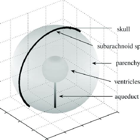 Schematic Diagram Of The Spherically Symmetric Model Of Poroelastic Download Scientific Diagram