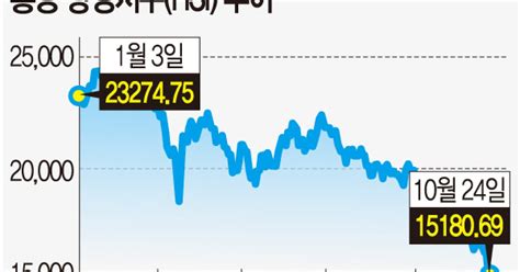 홍콩 증시 폭락에 파생결합증권 투자자들 된시름
