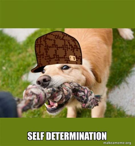 Self Determination Scumbag Dog Meme Generator