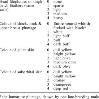 Five Point Sexual Character Rating Scales Download Scientific Diagram