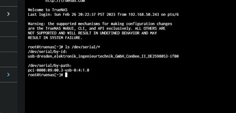 Issue With Usb Passthrough Truenas Community