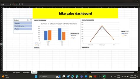 do data cleaning analysis and visualization with excel by abdallah923