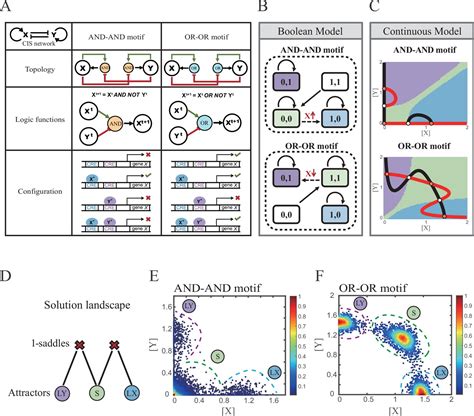figures and data in a logic incorporated gene regulatory network