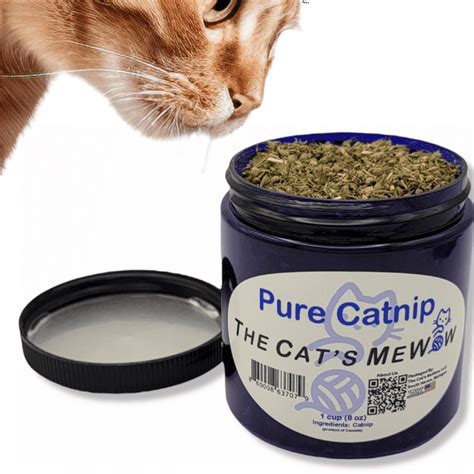 Catnip In Cat Treats Catnip In Cat Treats